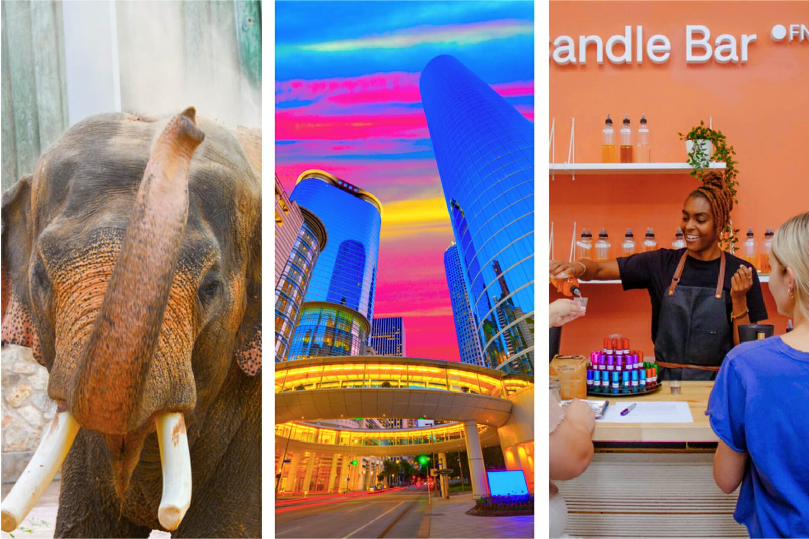 Visiting Houston, Texas on Your Own: 17 Great Solo Attractions - Happy ...