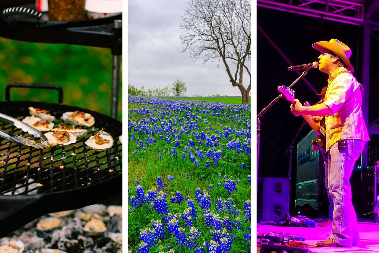 16 Best Things to Do in Texas in May (2024) - Happy To Be Texas